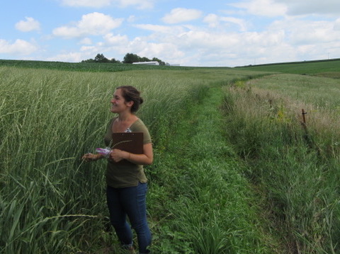Team Members – Forages and Perennial Grains